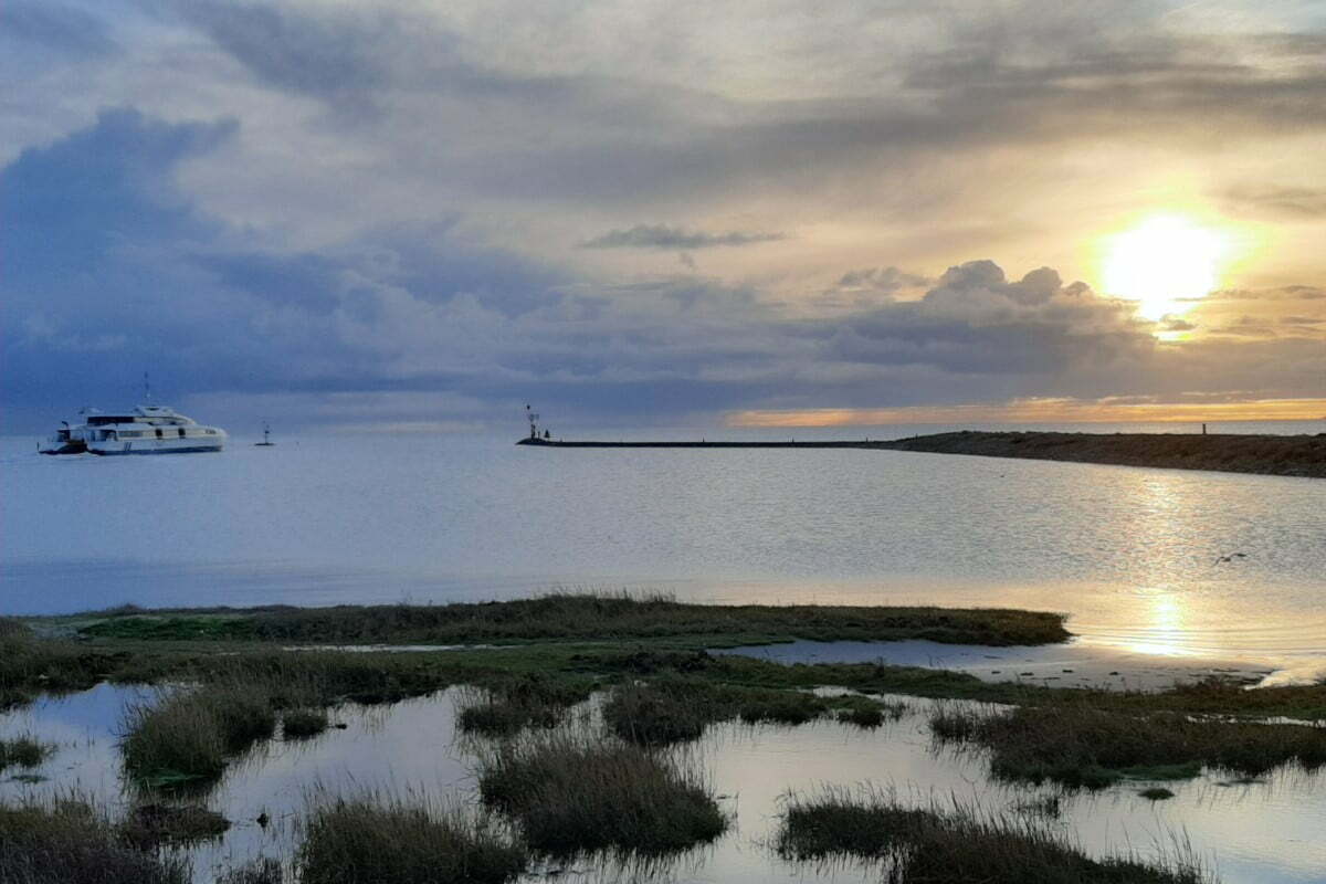 Bezoekersonderzoek Friese Waddeneilanden - Bureau voor ruimte en vrije tijd